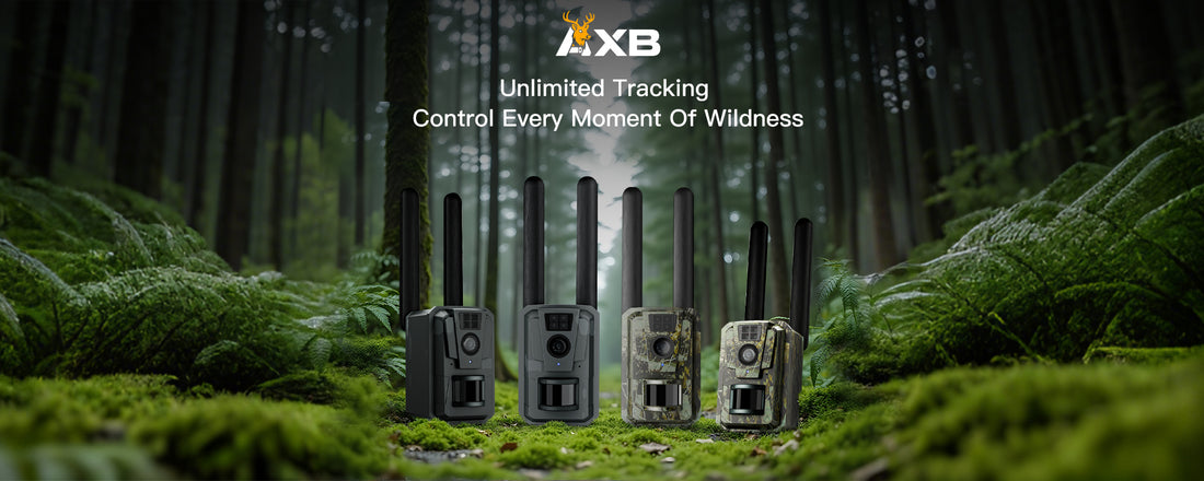 AXB