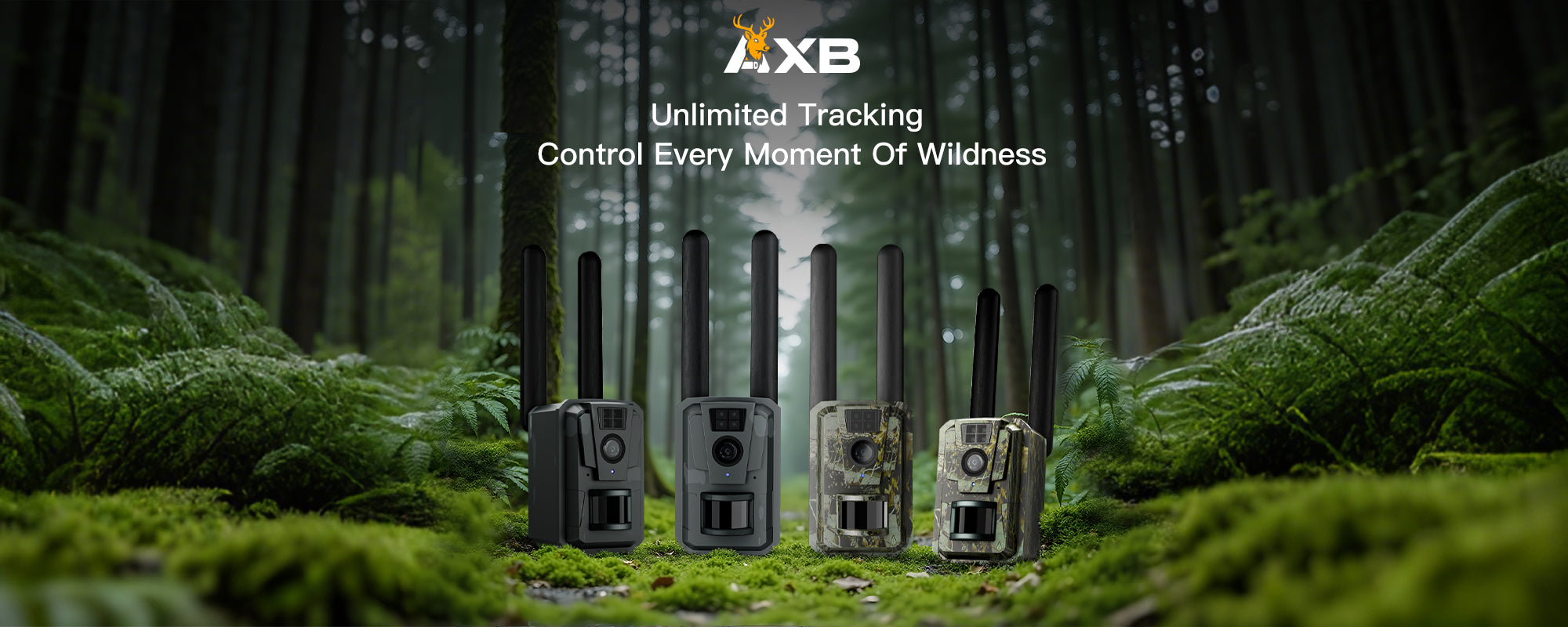 AXB